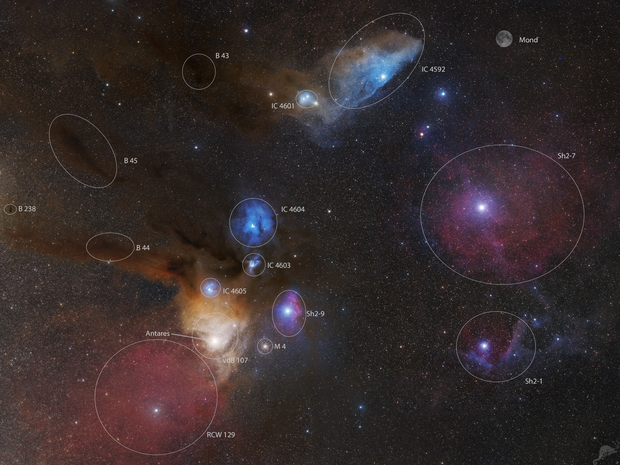 Chamäleon + Onjala Observatory Observatory DeepSky